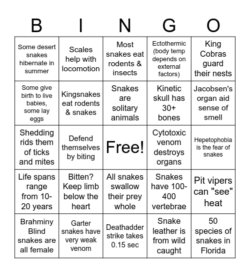Reptile Bingo Card