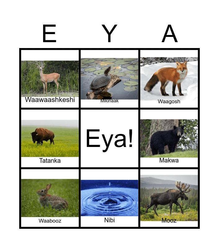 Eya! without extras Bingo Card